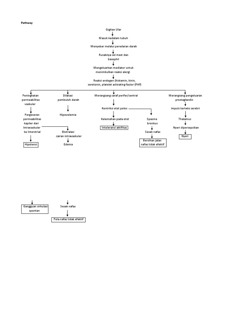 Pathway Syok Anafilaktik | PDF