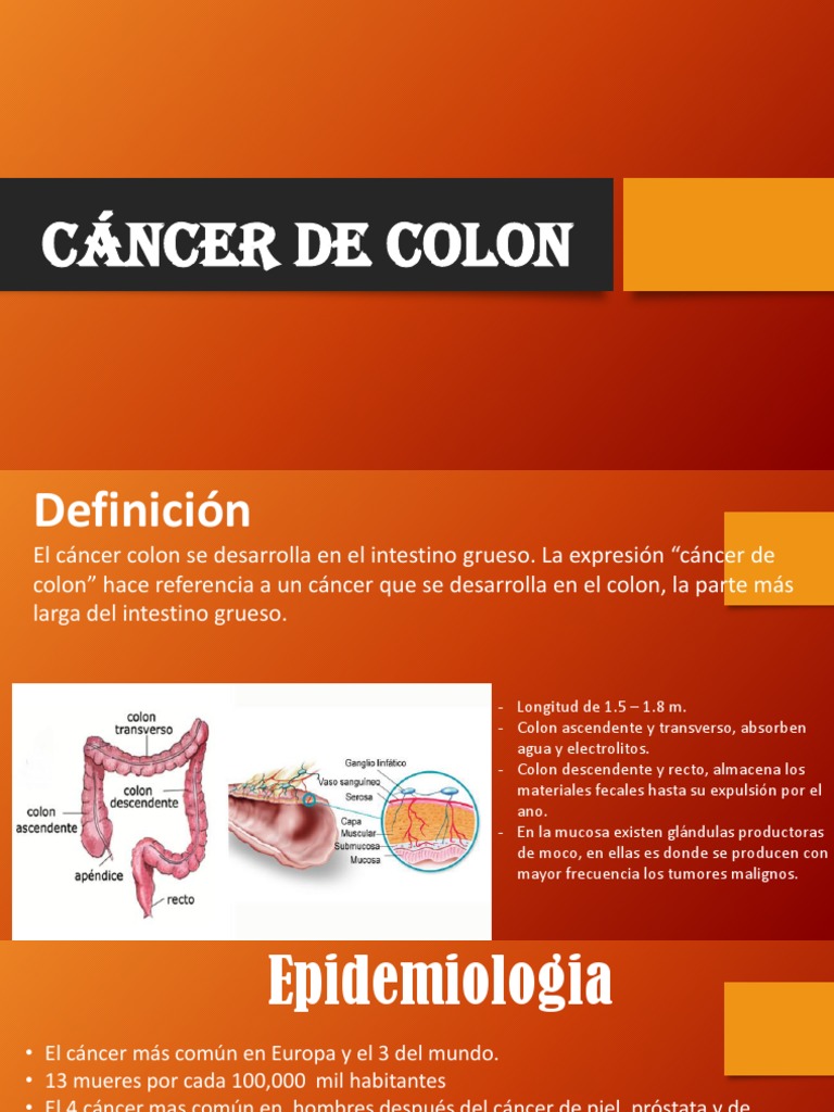 Cáncer de Colon y Recto | Cáncer colonrectal | Cáncer