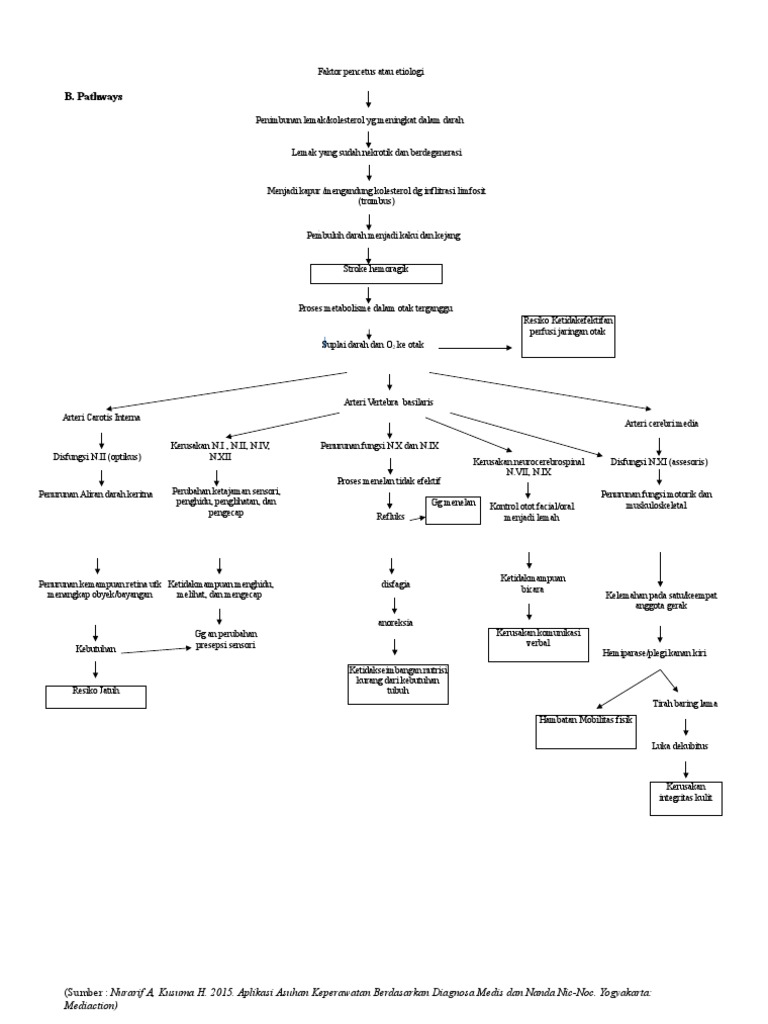 Pathway Stroke Hemoragi | PDF