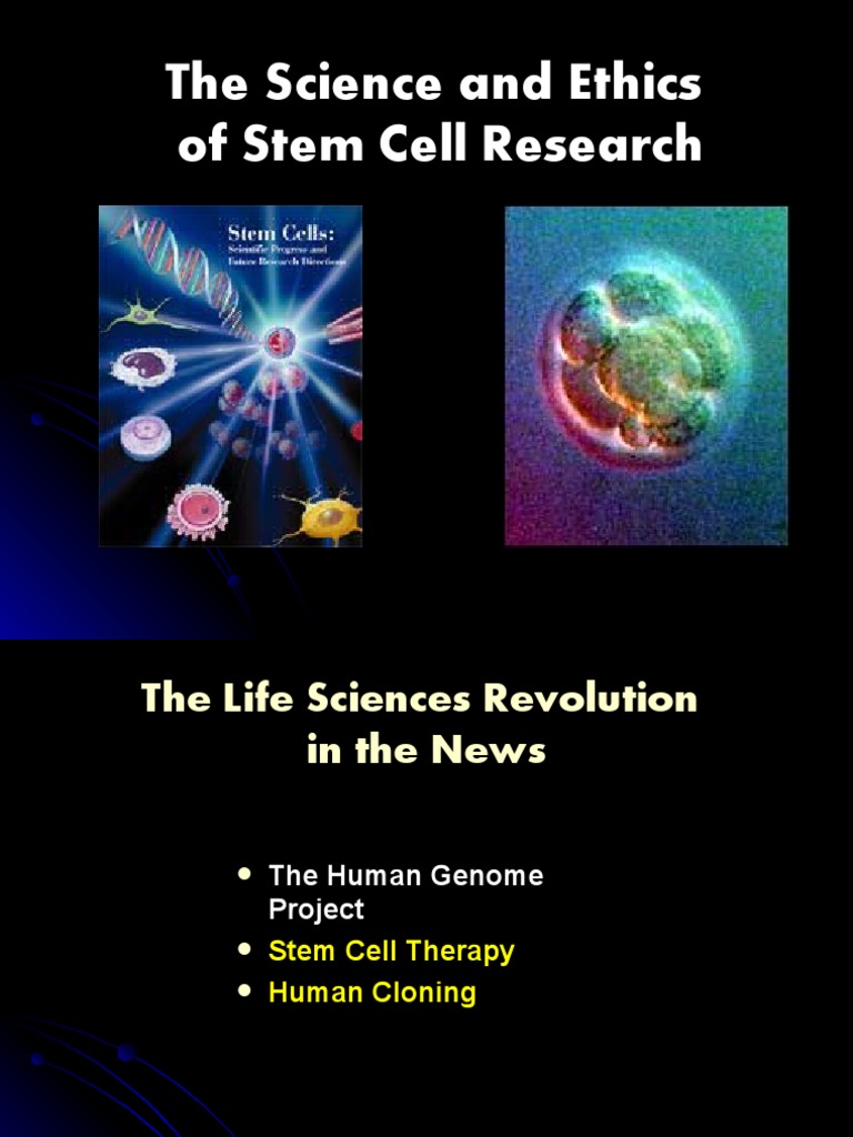 The Science and Ethics of Stem Cell Research | PDF | Embryonic Stem ...
