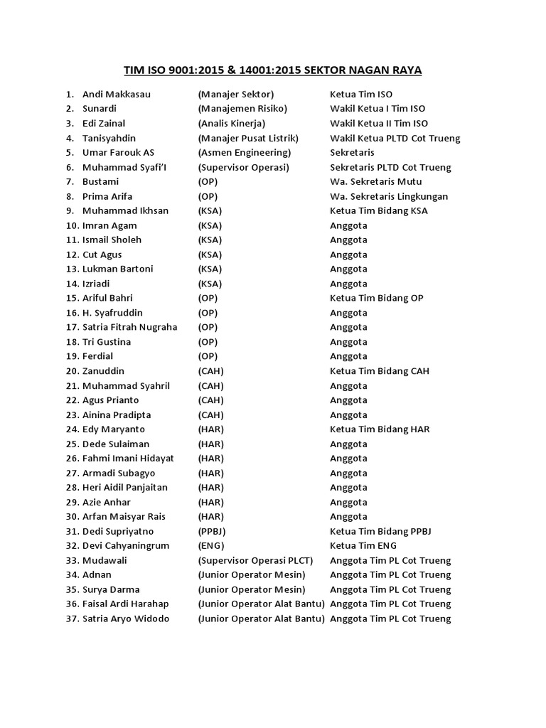 Contoh Tim Dan Fungsi | PDF