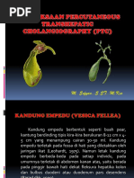Teknik Radiografi Antebrachi AP dan Lateral | PDF