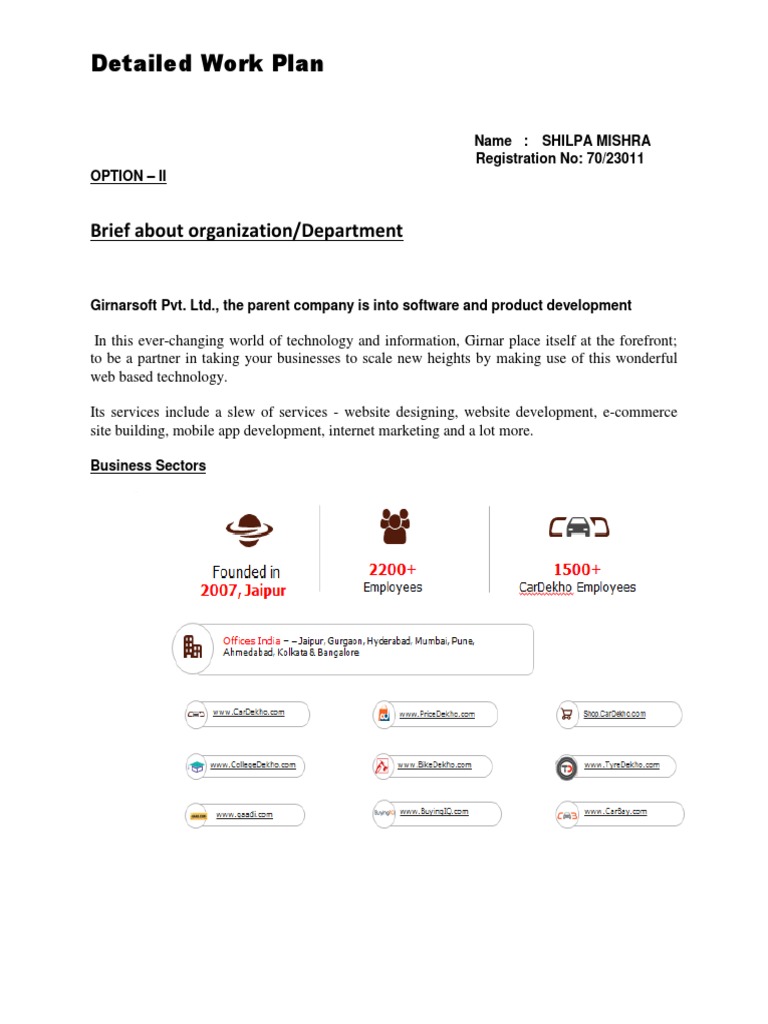 Detailed Work Plan: Brief About Organization/department | PDF ...