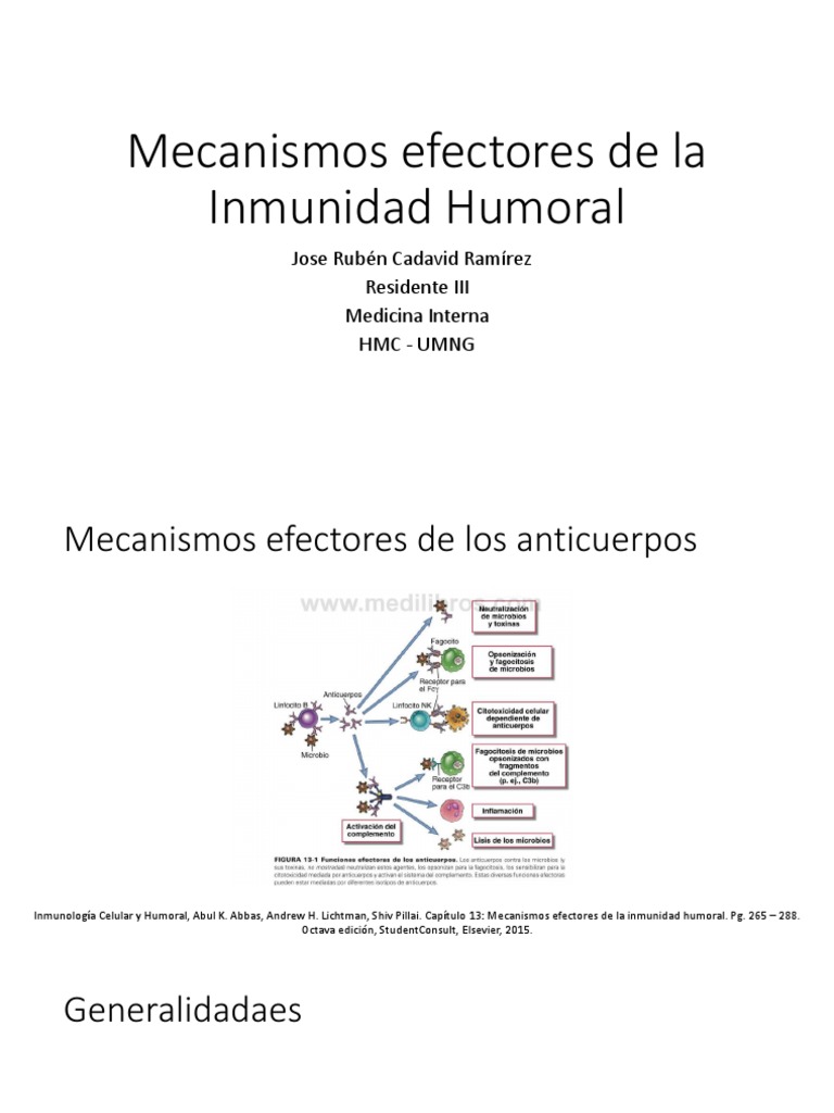 Mecanismos Efectores de La Inmunidad Humoral | Inmunidad humoral | Sistema inmune