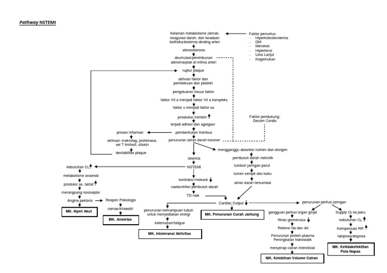 Pathway NSTEMI | PDF