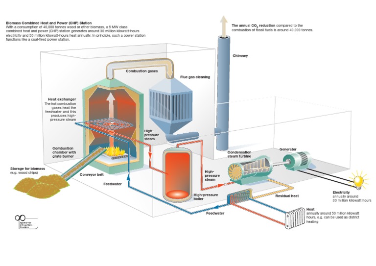Biomass CHP | PDF | Cogeneration | Fossil Fuel Power Station