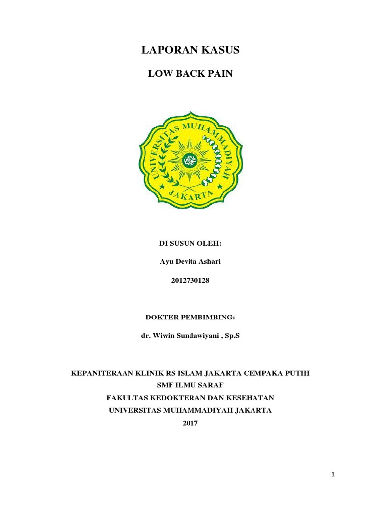 Lapkas Low Back Pain | PDF
