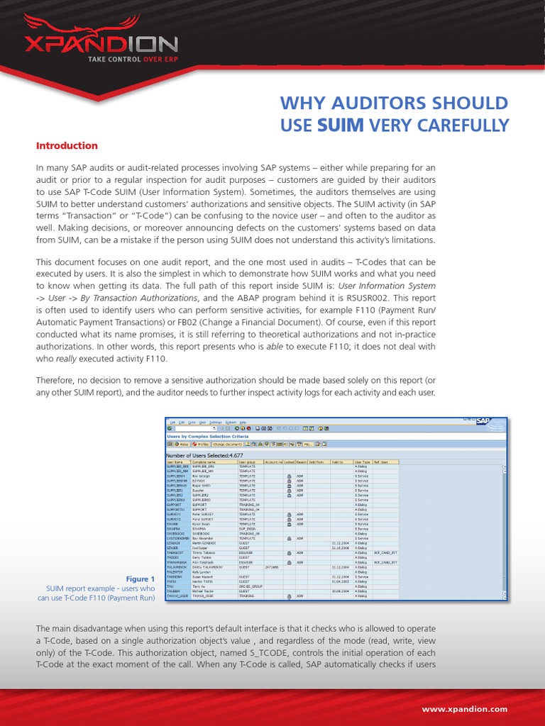 SAP SUIM Audit Report Guide | PDF | Sap Se | User (Computing)