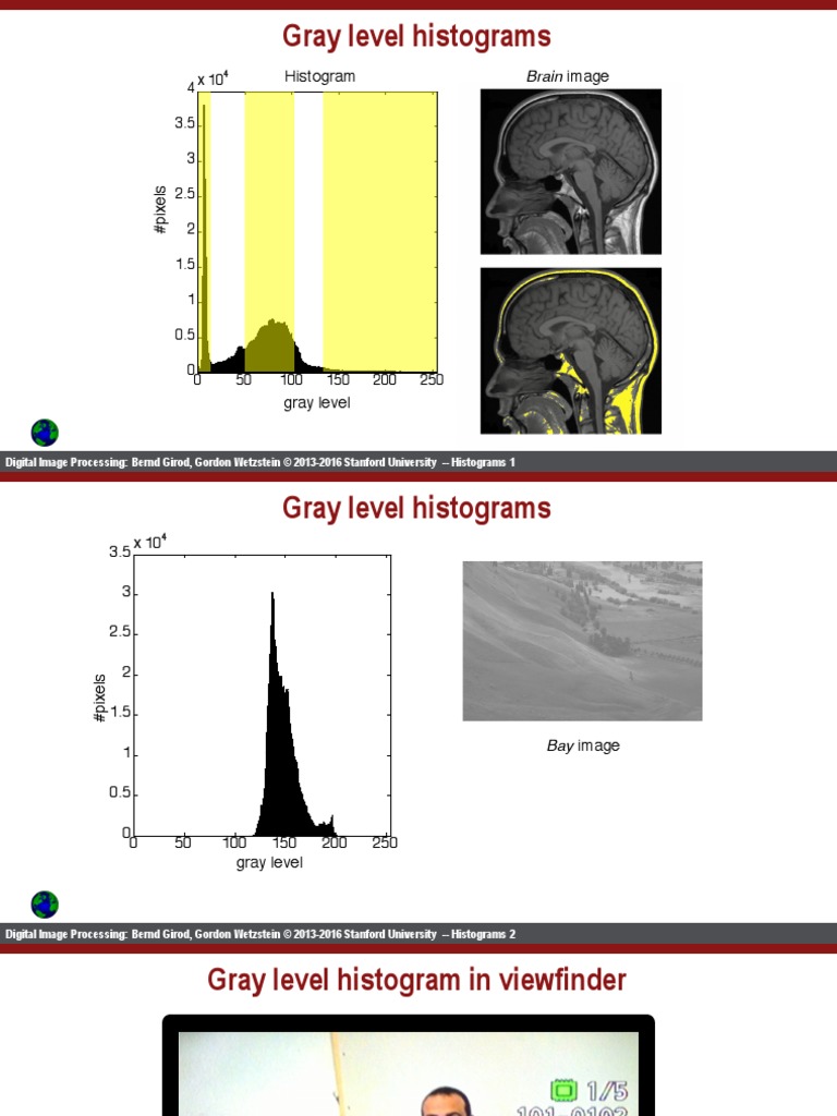 Gray Level Histograms: Histogram | PDF | Computer Graphics | Signal ...
