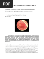 Histologi Perkembangan Folikel Ovarium | PDF