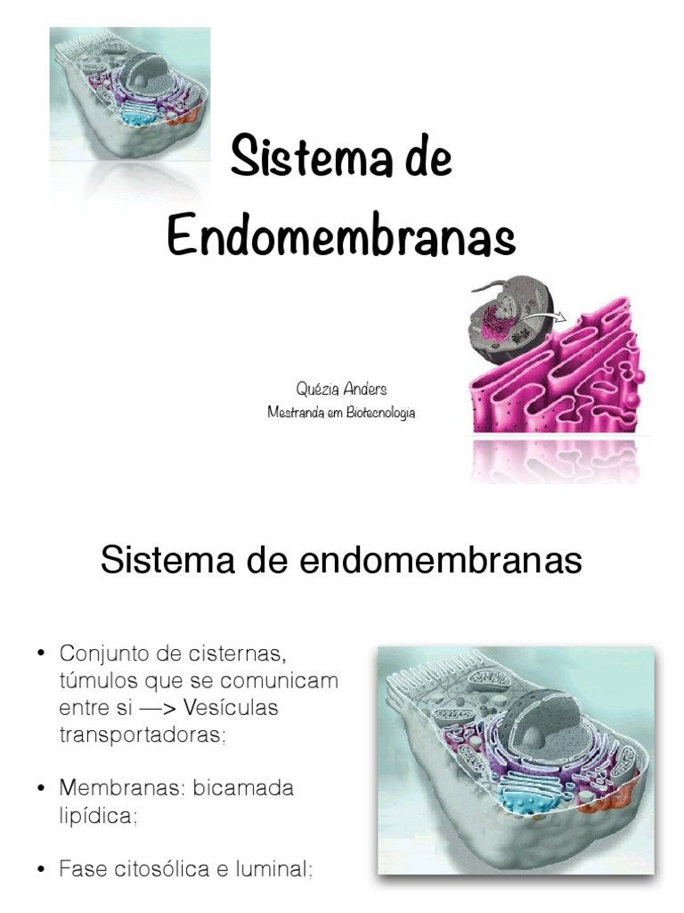 O Sistema de Endomembranas: Estrutura e Funções das Organelas ...