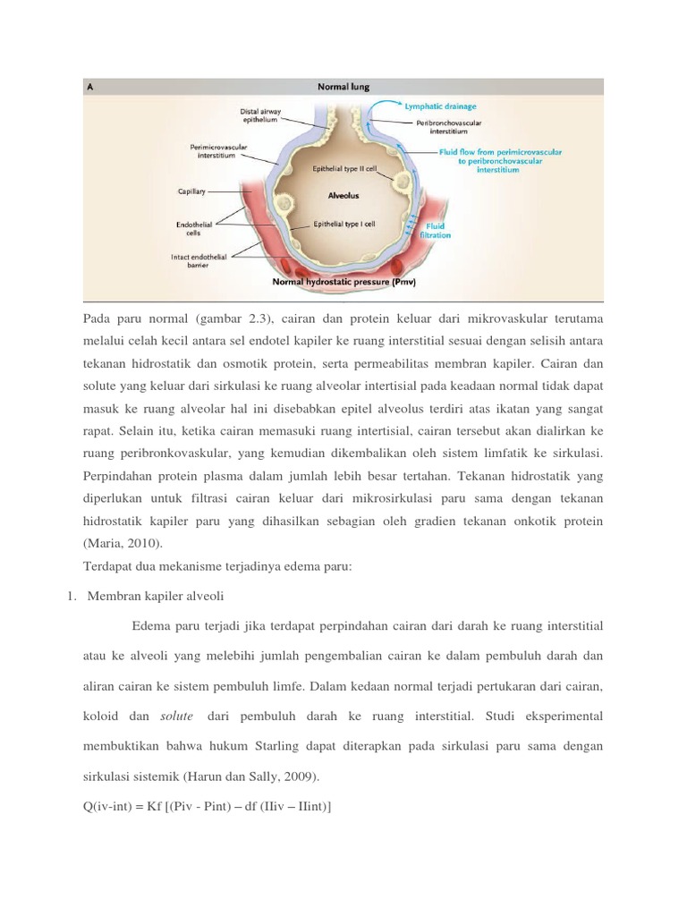 Edema Paru Akut | PDF