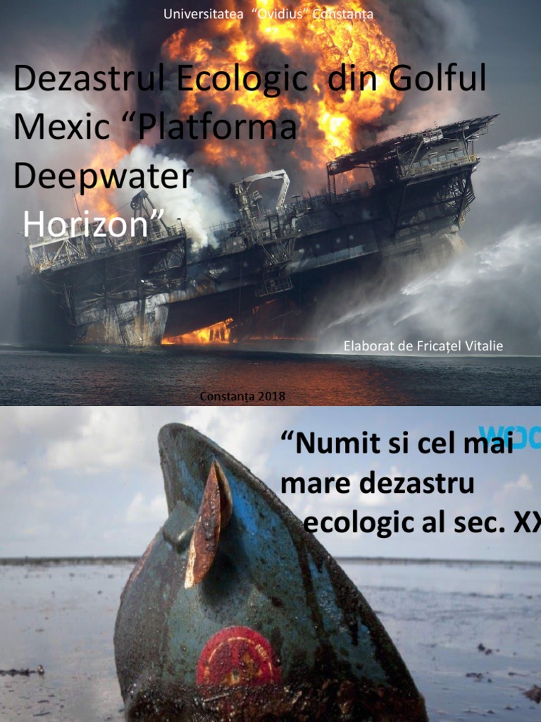 Deepwater Horizon | PDF