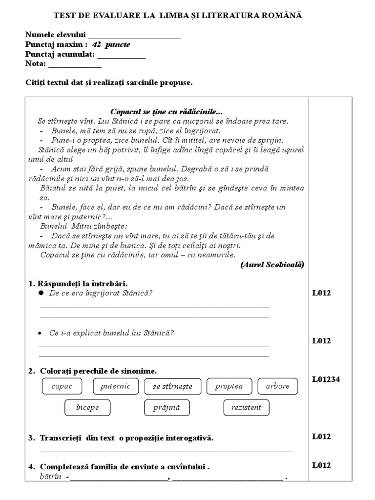 Test de Evaluare Limba Română | PDF