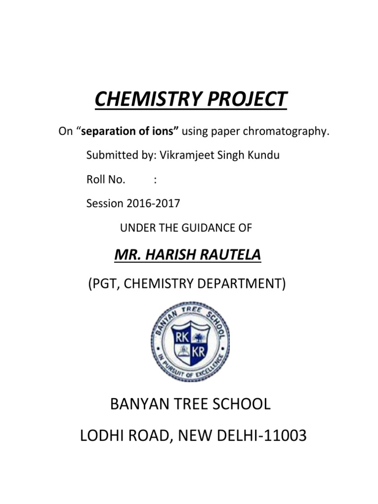 Chemistry Project | PDF | Chromatography | Chemistry