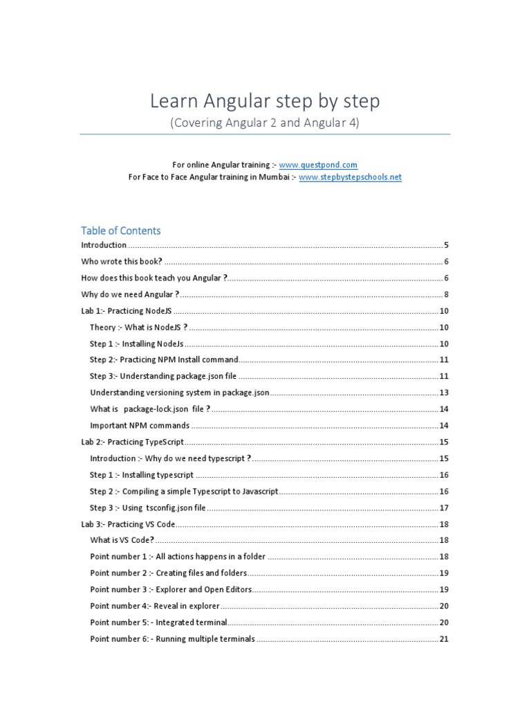 Learn Angular | PDF | Java Script | Computer Programming