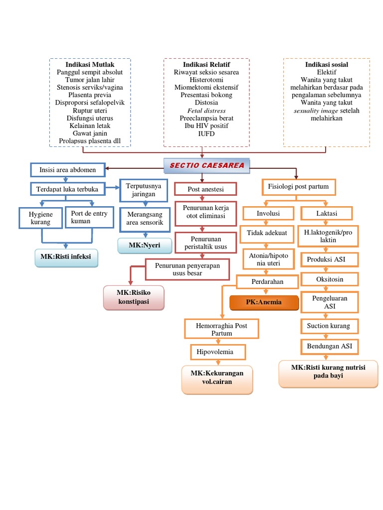Woc Baru Sectio | PDF