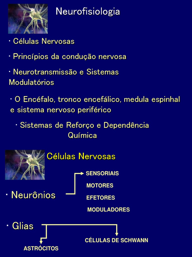 1 - Aula Neurofisiologia e Potencial de Repouso - Parte 1 | PDF ...