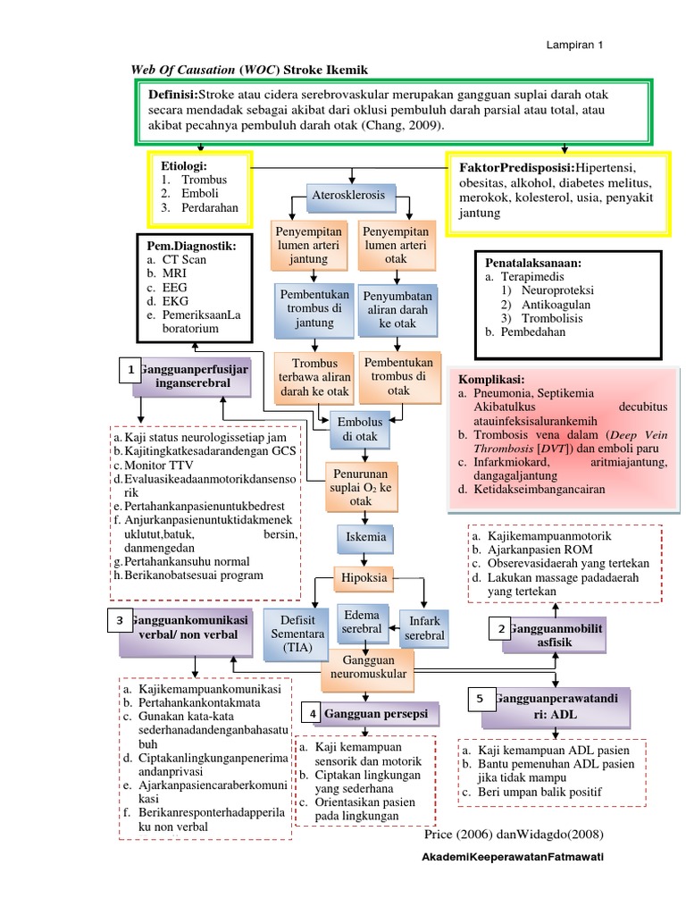 9 Web of Causation Stroke Iskemik | PDF