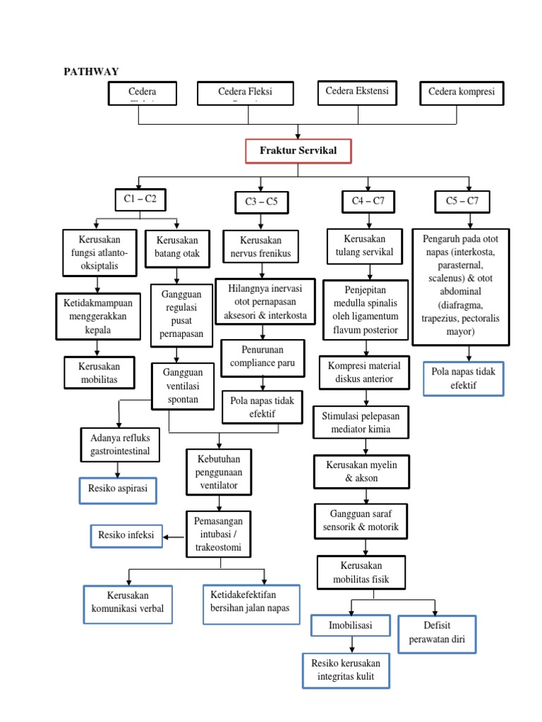 Pathway Trauma Servikal | PDF