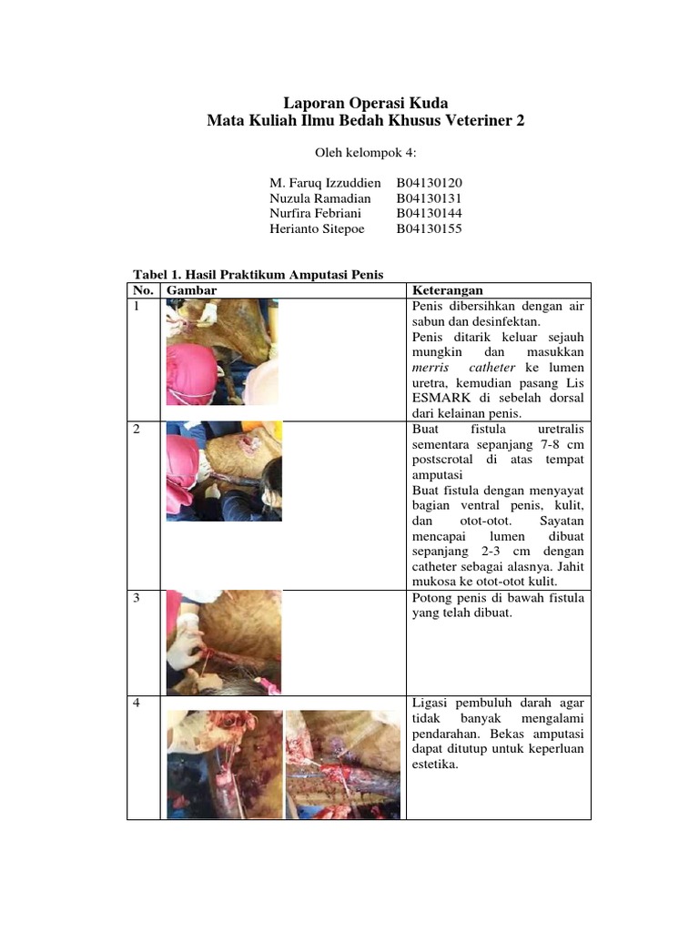 Laporan Praktikum Ilmu Bedah Khusus Veteriner 2 | PDF