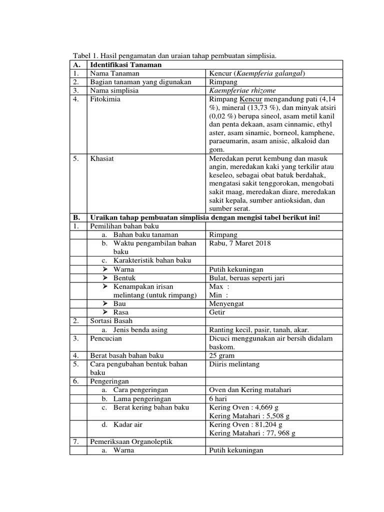 Hasil Pengamatan Simplisia Kencur | PDF