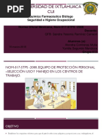 Tabla EPP NOM 017 STPS 2008 | PDF