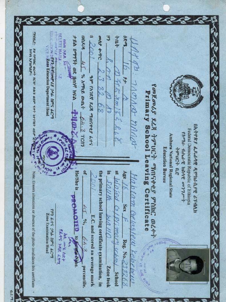 Primary School Leaving Certificate | PDF