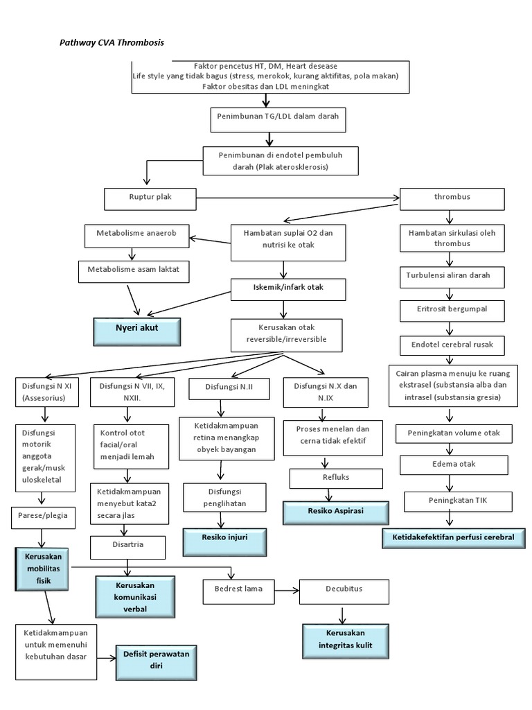 Pathway Cva Trombus | PDF