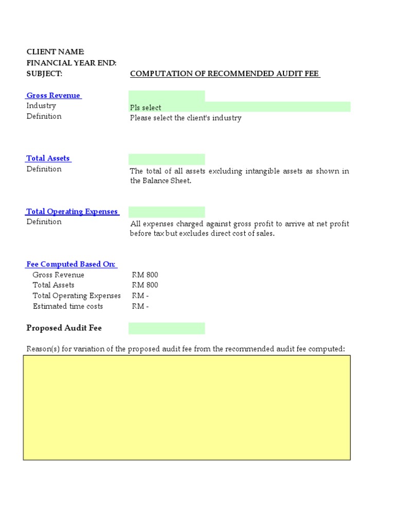 Computation of Audit Fees | PDF | Expense | Revenue