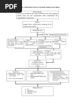 Intervensi Fisioterapi Pada Kasus Piriformis Syndrome | PDF