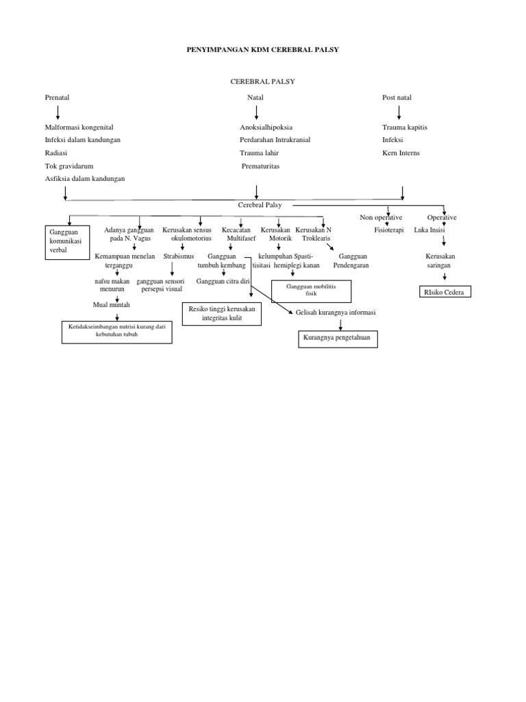 Pathway Cerebral Palsy | PDF