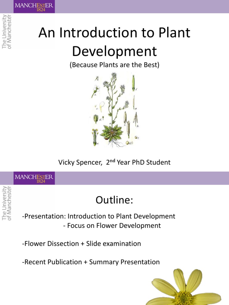 An Introduction To Plant Development: (Because Plants Are The Best ...