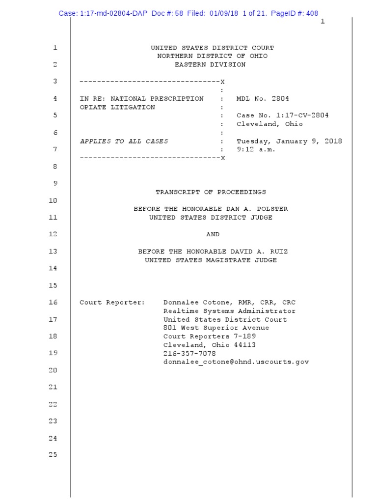 Transcript of Proceedings in In re National Prescription Opiate ...