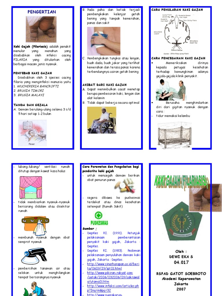 Leaflet K. Gajah | PDF