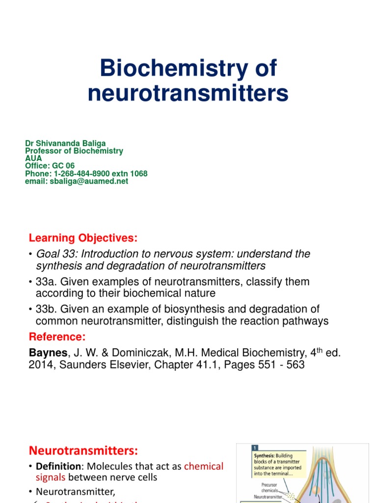 Introduction To Nervous System - Neurotransmitters | PDF | Dopamine ...