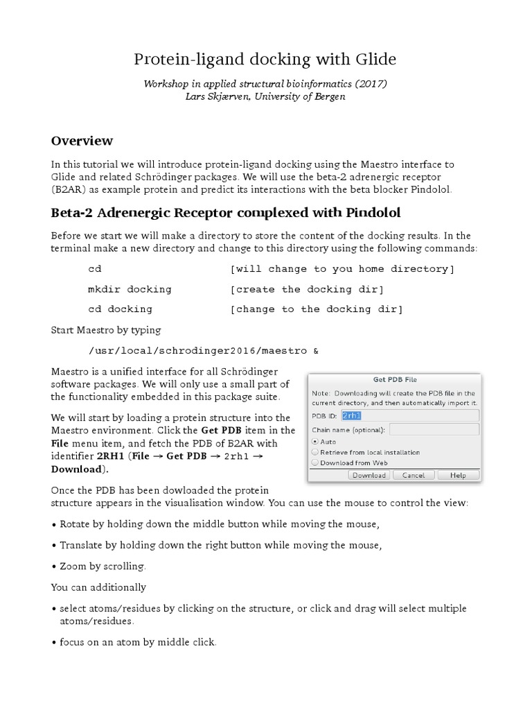 Docking | PDF | Docking (Molecular) | Medicinal Chemistry