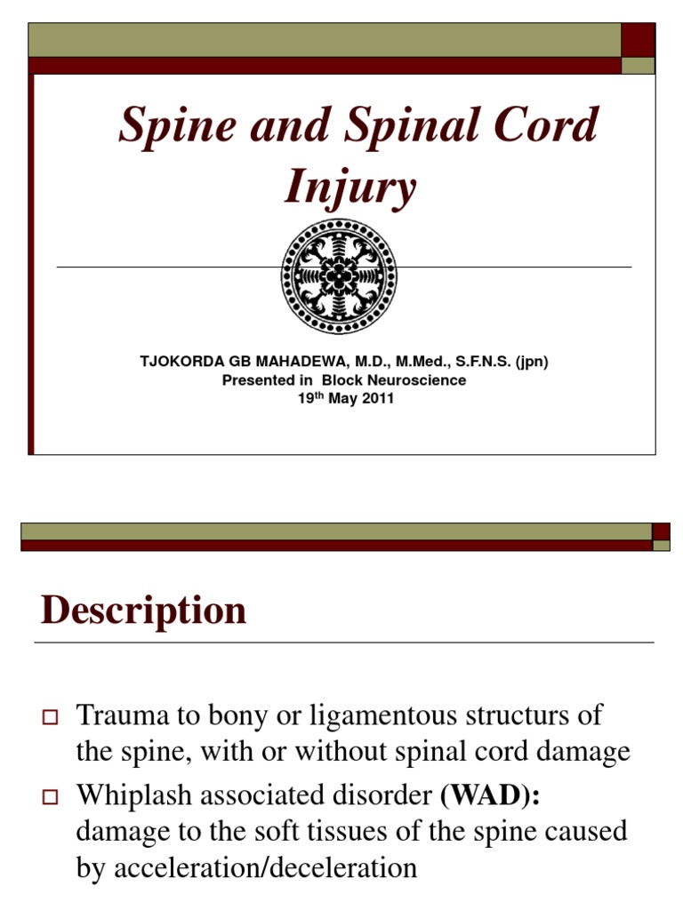 SCIWORA in Spinal Injury Management | PDF | Spinal Cord | Vertebral Column