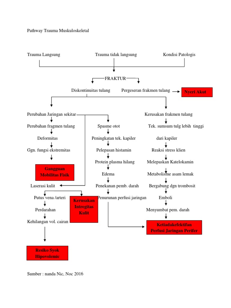 Pathway Trauma Muskuloskeletal | PDF