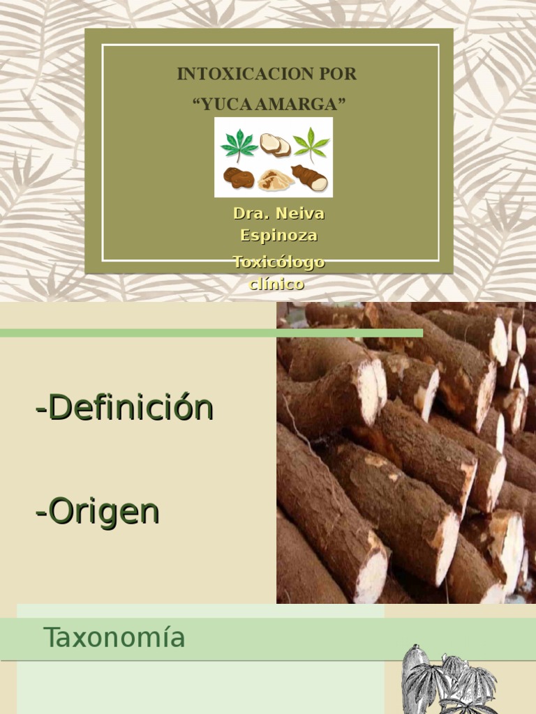 Presentación Intoxicación Por Yuca Amarga | PDF | Especialidades ...
