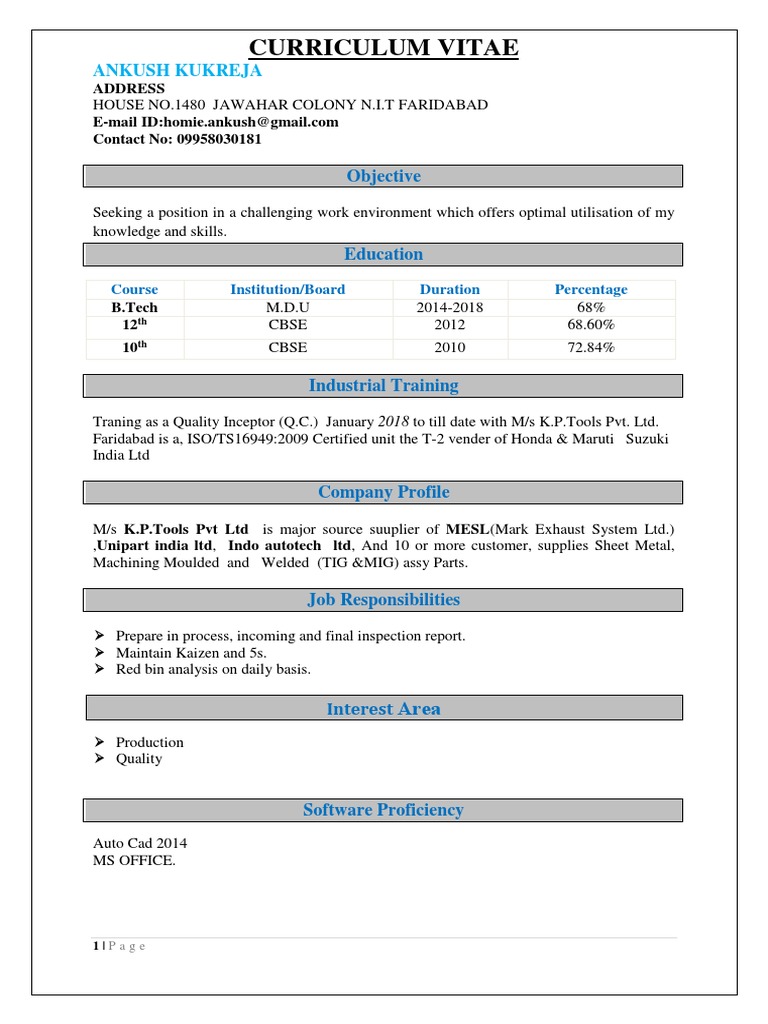 Curriculum Vitae: Ankush Kukreja | PDF | Business