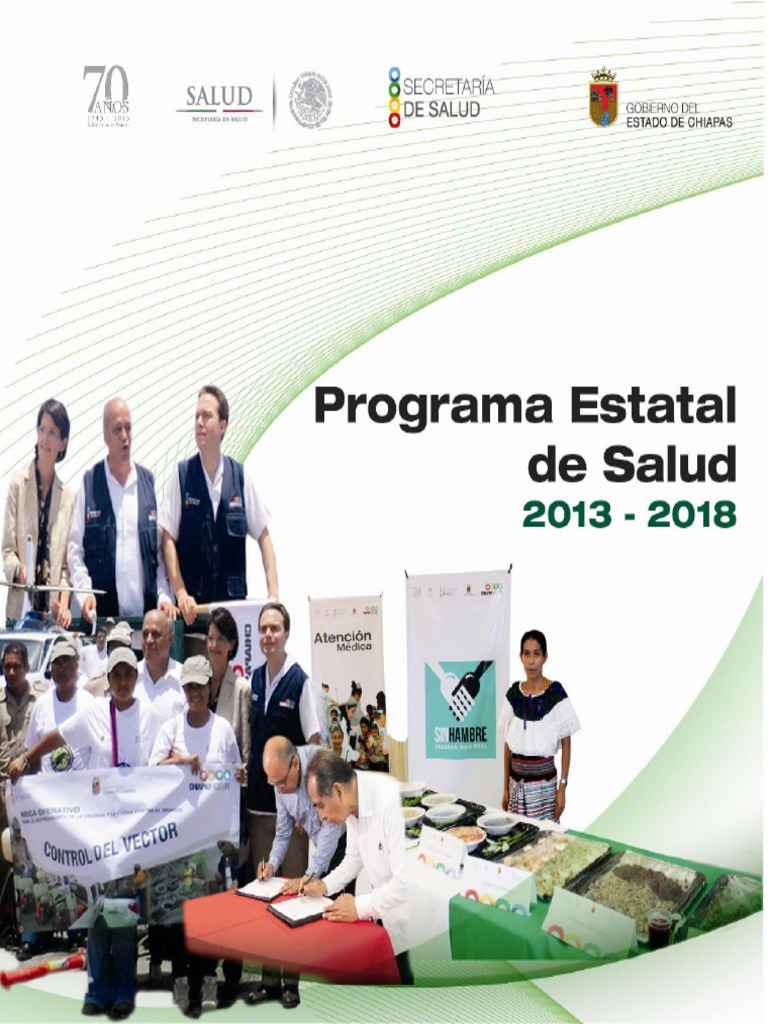 Programa Estatal en Salud | PDF | Bienestar | Medicina