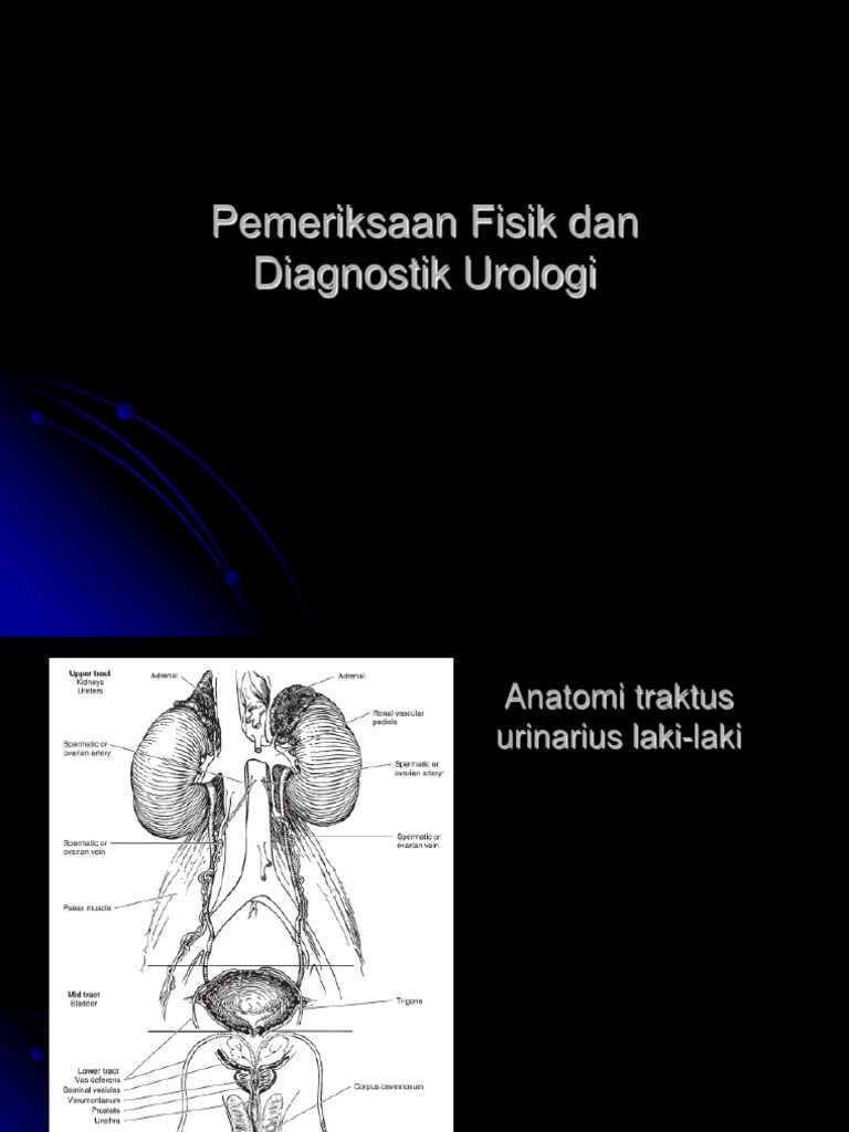 Pemeriksaan Urologi | PDF
