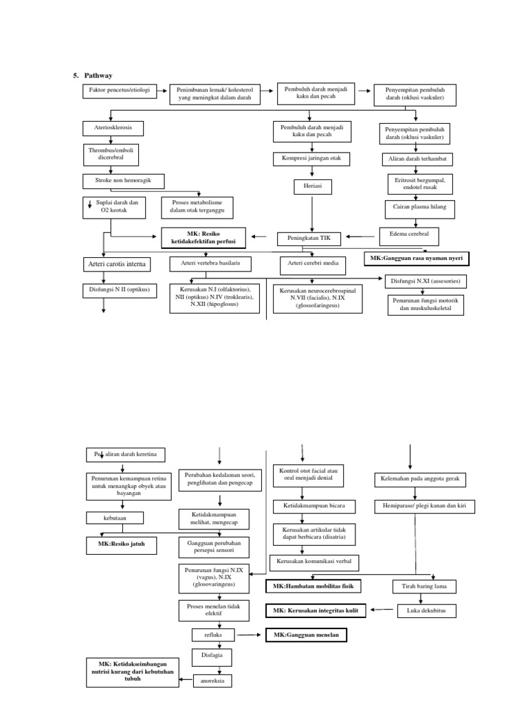 Pathway Stroke | PDF