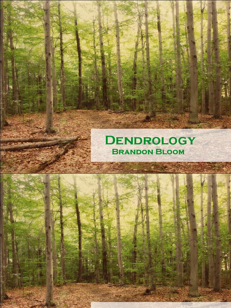 Dendrology: Brandon Bloom | PDF | Object Oriented Programming ...