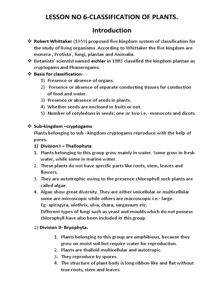 Classification of Plants | PDF | Plants | Seed