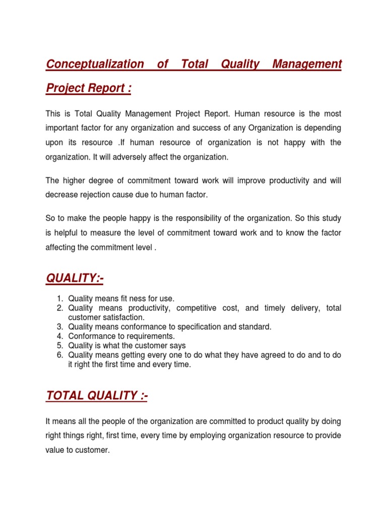 Conceptualization of Total Quality Management Project Report | PDF ...