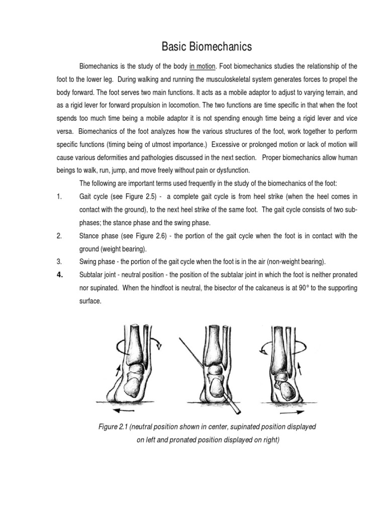 Bio Mechanics | Foot | Anatomical Terms Of Motion