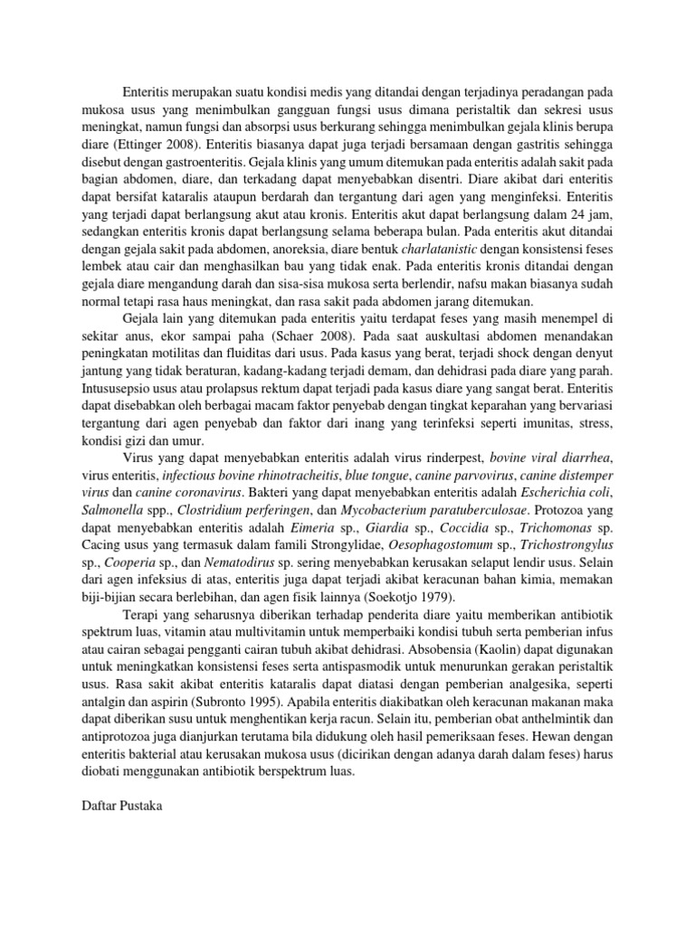 Enteritis: Gejala dan Penanganan | PDF