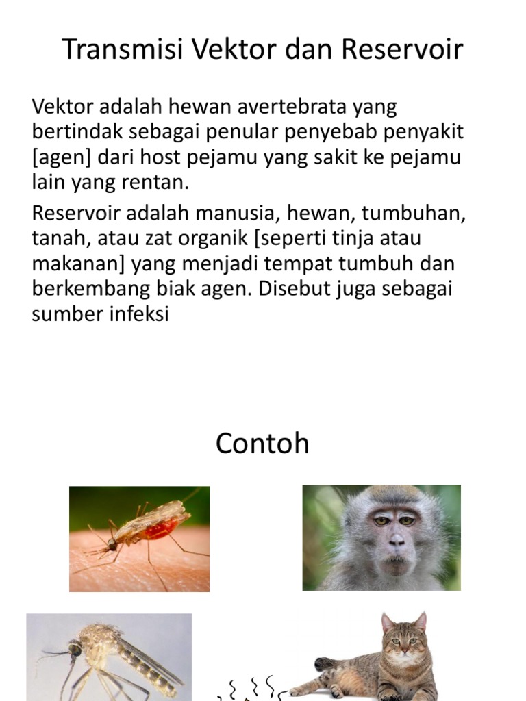 Transmisi Vektor Dan Reservoir | PDF